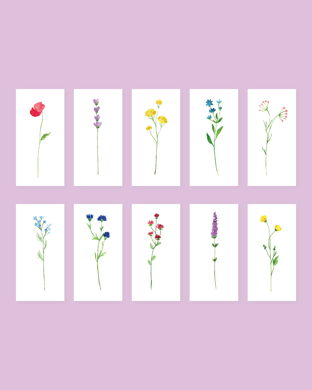 Long Flowers Collection – Dính Dính